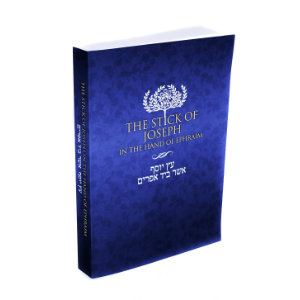 Stick of Joseph INFO