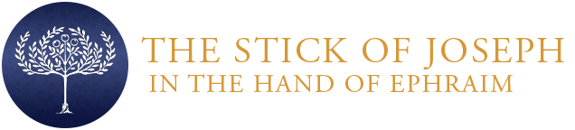 Stick of Joseph INFO